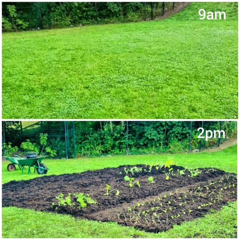 Ysgol Gymraeg Dyffryn y Glowyr – Adam Yn Yr Ardd