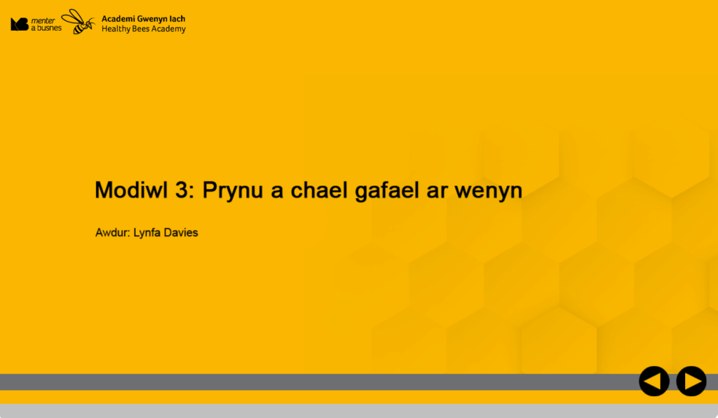 Cwblhau Modiwlau’r Academi Gwenyn Iach – Adam Yn Yr Ardd